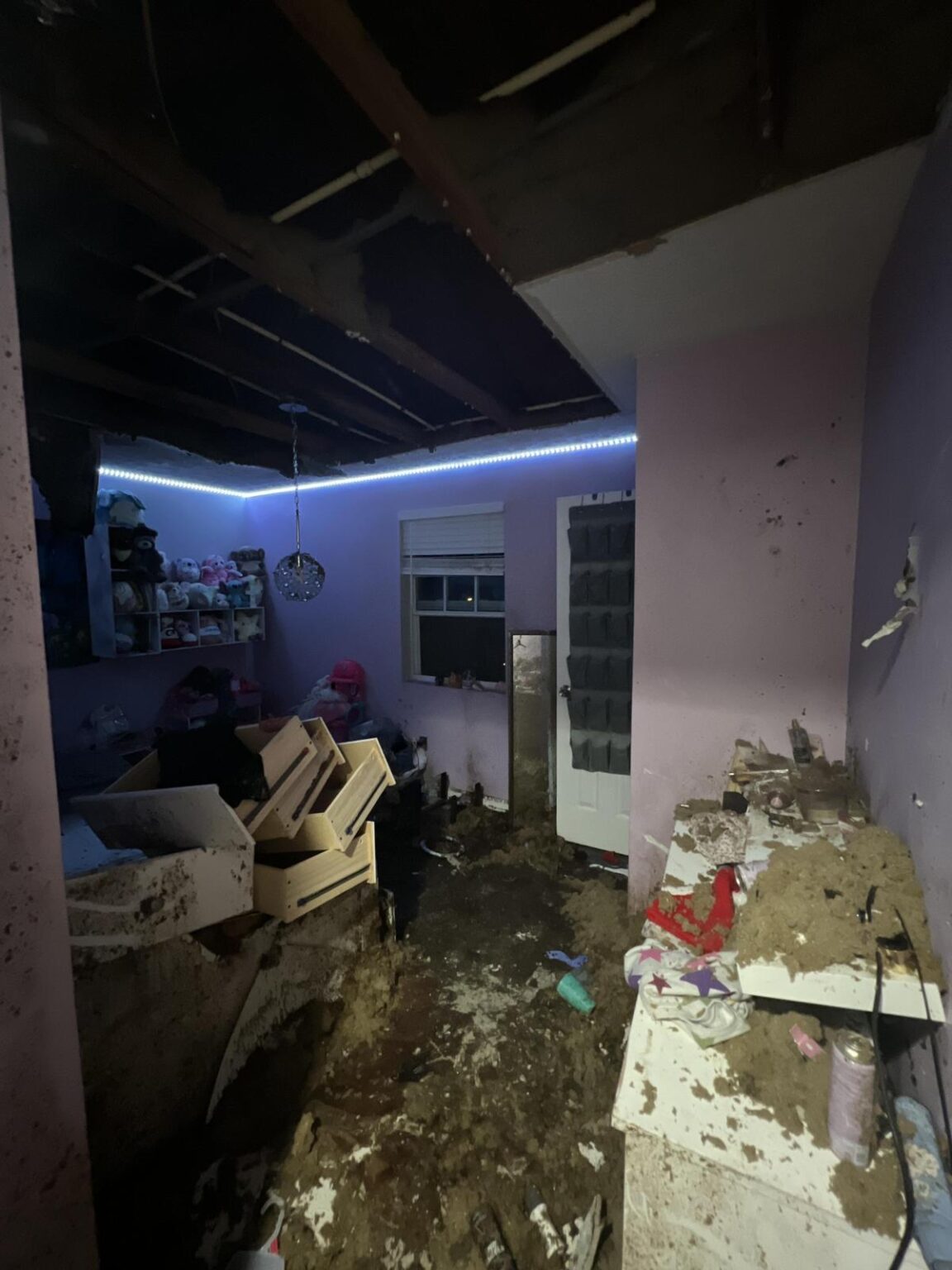 American Mold Assessments & Environmental Inspections